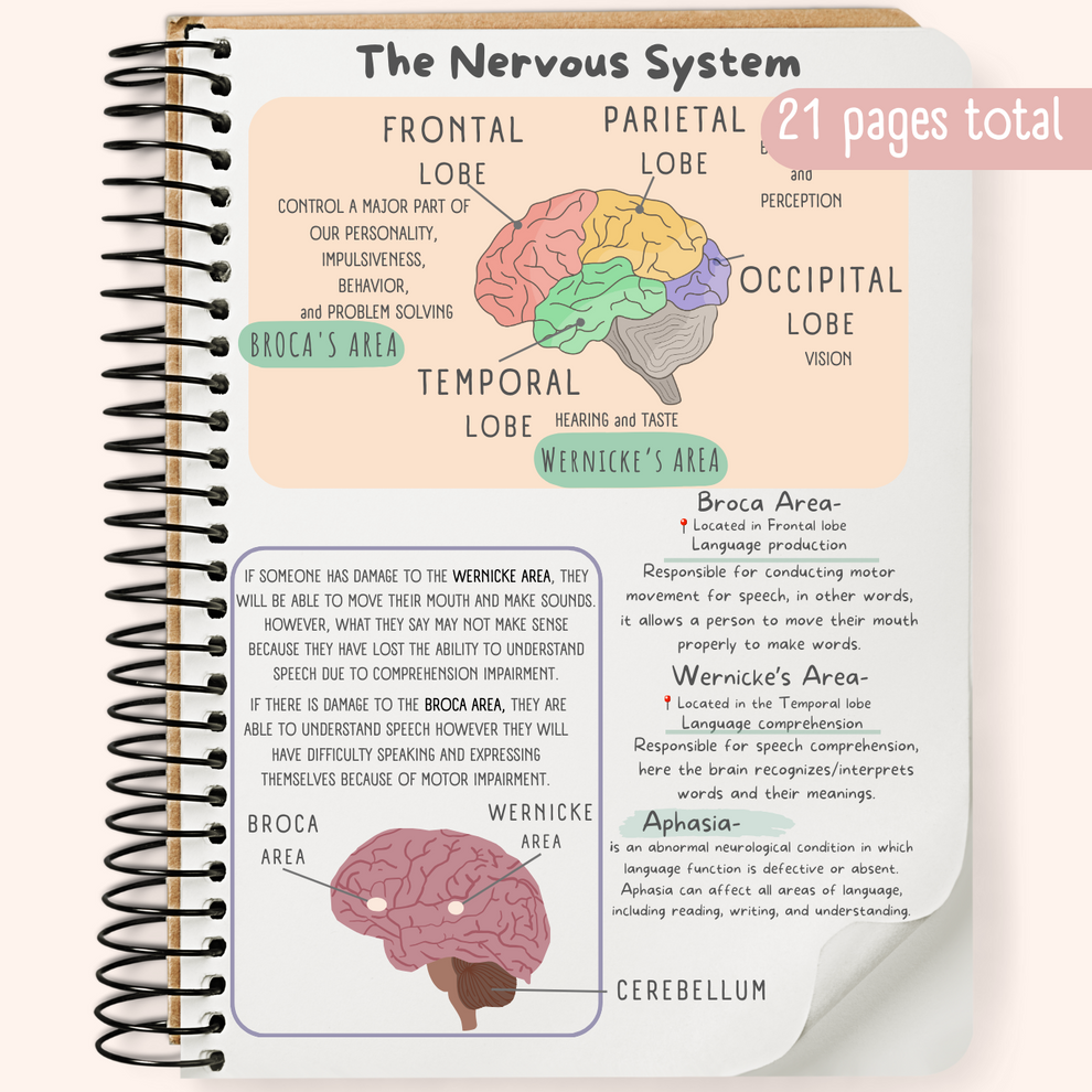 The Nervous System Study Guide – TheTutor_Geek